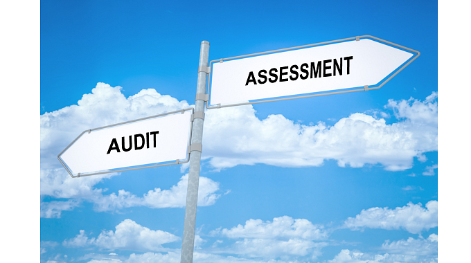 On the Difference Between an Audit and an Assessment – ProjectCrunch ...